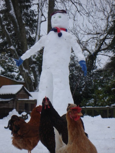 Chickens and the Snowman - Cavalier Books - Books on Cooking, Poultry ...